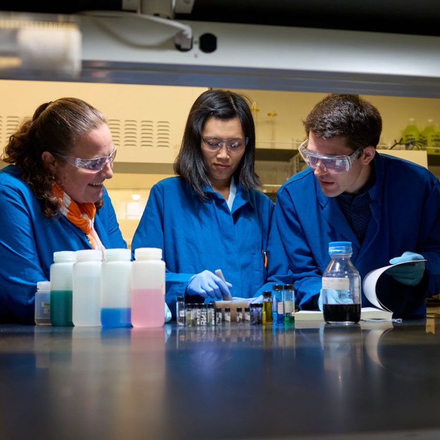 Early CAREER Award Winners - Tennessee Engineer